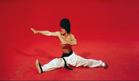 Brutal Revenge aka Fighting Ace aka Master Of Death aka Kids Ace In The ...