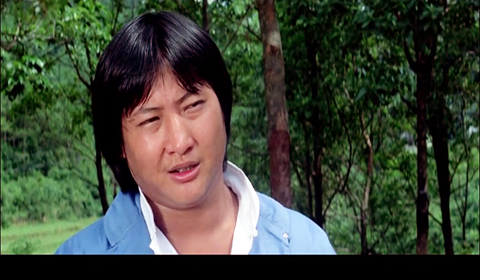 The End of the Wicked Tiger aka End of Wicked Tiger aka Lo fu saat sing ...