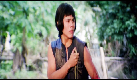 The Fearless Duo aka Fearless Master Fighter aka Hong Quan Da Shi ...