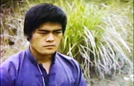 The Two Tigers aka 2 Tigers | Yu Tien Lung,Tong Lung, Tien Yeh,Chui ...