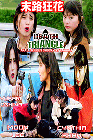 A Serious Shock Yes Madam aka Death Triangle aka Serious Shock! Yes ...