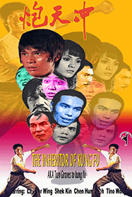 Two Graves to Kung Fu aka Inheritor of Kung Fu | Lau Kar Wing,Shek Kin ...
