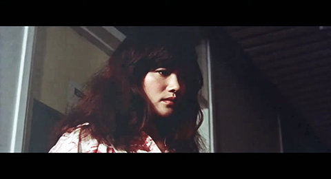 Deadly Angels aka Bod Squad aka Women Detectives aka Rambo Police Women ...