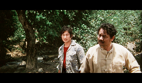 Golden Triangle aka (Lo Lieh) | Lo Lieh,Tanny Tien Ni,Tien Feng,Boo ...