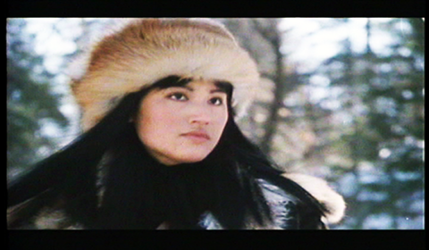 Heroine in Northeast aka A Northeast Chivalrous Woman aka Guandong ...
