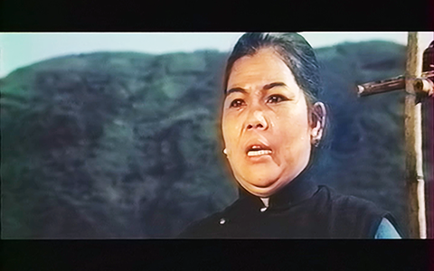 Queen of Fists aka Kung Fu Mama | Tse Gam Gut, Cheung Ching Ching, Lui ...