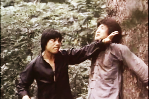 Magnificent Fist aka Kung Fu Titans aka Fighter with Miraculous Martial ...