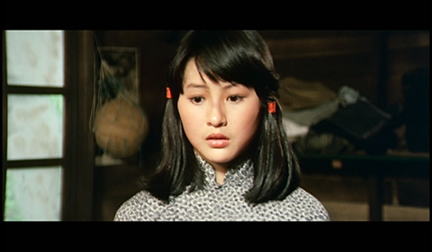 Champions aka The Champions aka Boh Ang | Yuen Biao,Moon Lee,Dick Wei ...