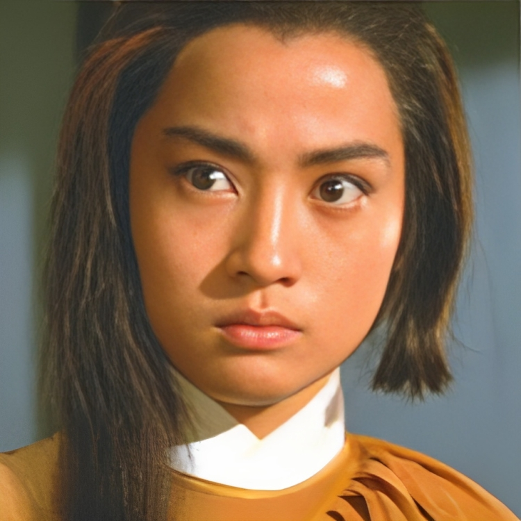 Classic Ladies Of Kung Fu