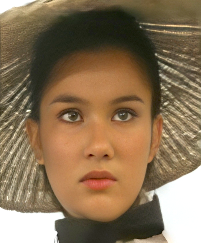 Classic Ladies Of Kung Fu