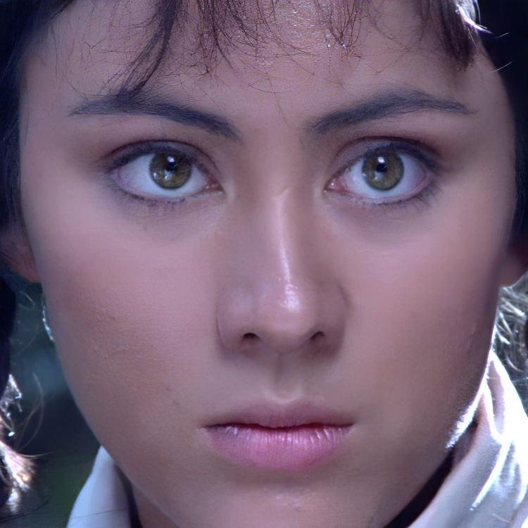 Classic Ladies Of Kung Fu