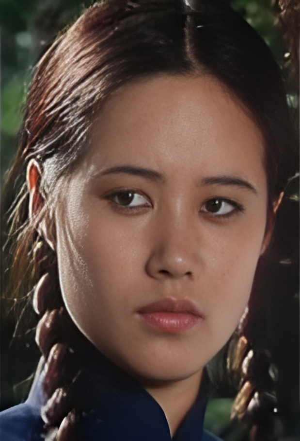 Classic Ladies Of Kung Fu